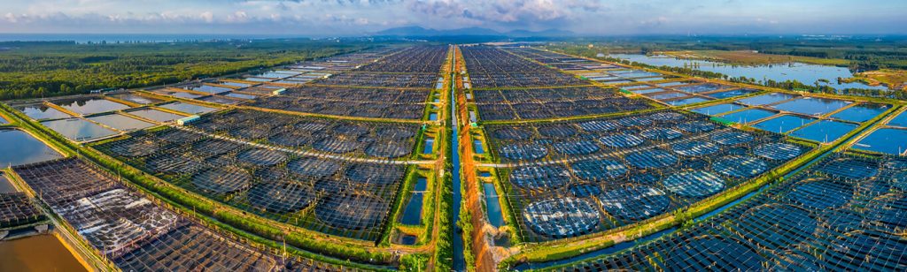 Aquaculture - Hydrogen Technologies