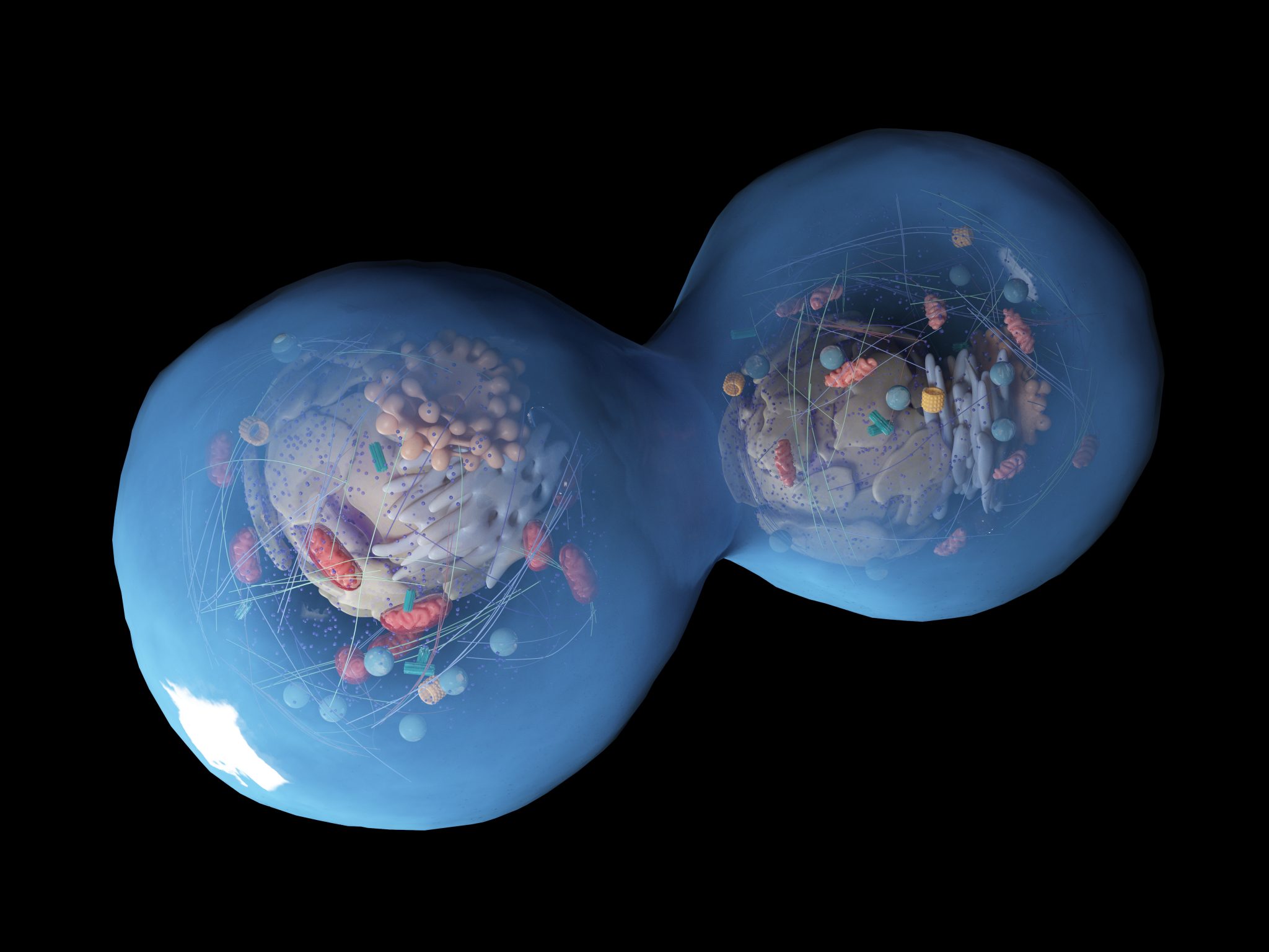 Home - Hydrogen Technologies